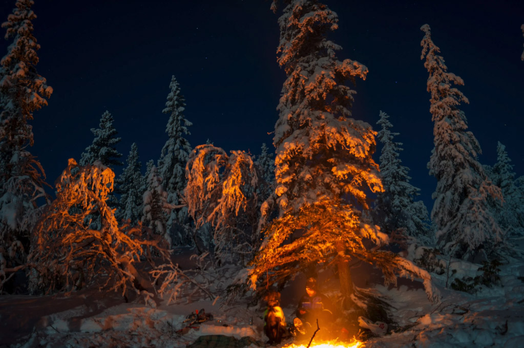 SkogsPiratenes Vinternatt - Sigdal.no